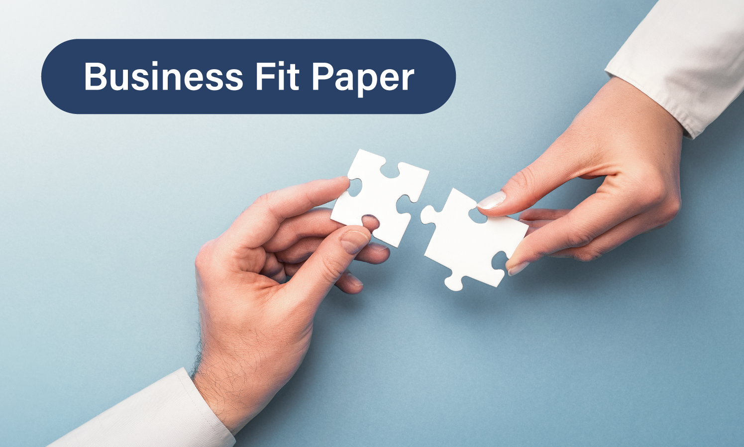 Business-Fit-Image - Freeform Dynamics